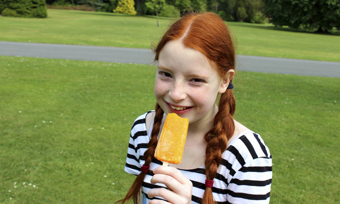 20 Yummy Popsicle Recipes to Cool Off With - Daily Parent